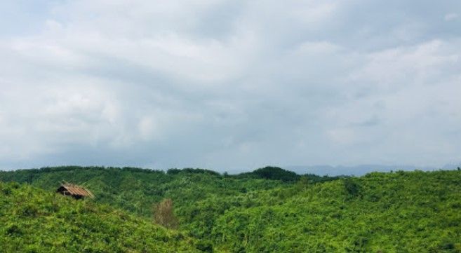 Lohagara Area Guide: Discover Insights & Price Trends | PropertyGuide