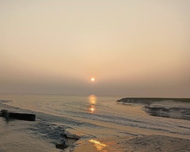 Sandwip Area Guide: Discover Insights & Price Trends | PropertyGuide