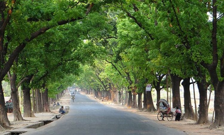 Raozan Area Guide: Discover Insights & Price Trends | PropertyGuide