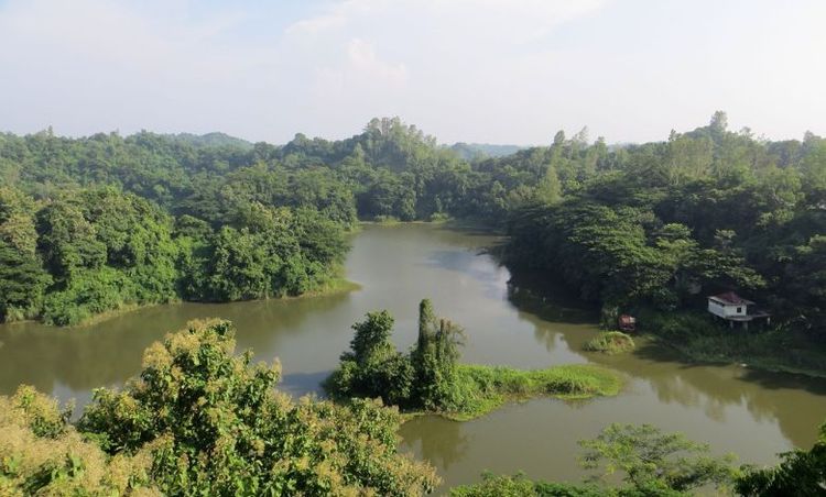 Banskhali Area Guide: Discover Insights & Price Trends | PropertyGuide