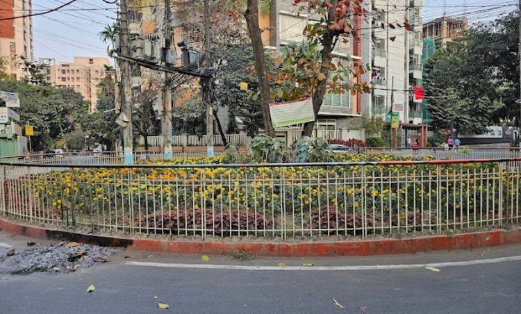 Panchlaish Area Guide: Discover Insights & Price Trends | PropertyGuide