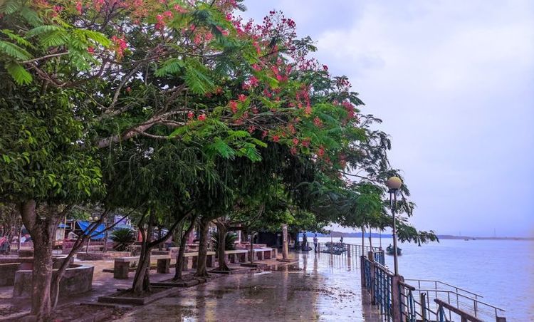 Jhalokati Area Guide: Discover Insights & Price Trends | PropertyGuide