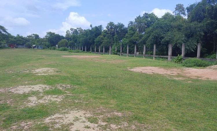 Valuka Area Guide: Discover Insights & Price Trends | PropertyGuide