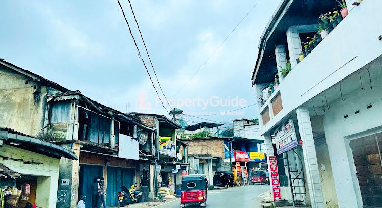 Walapane Area Guide: Discover Insights & Price Trends | PropertyGuide