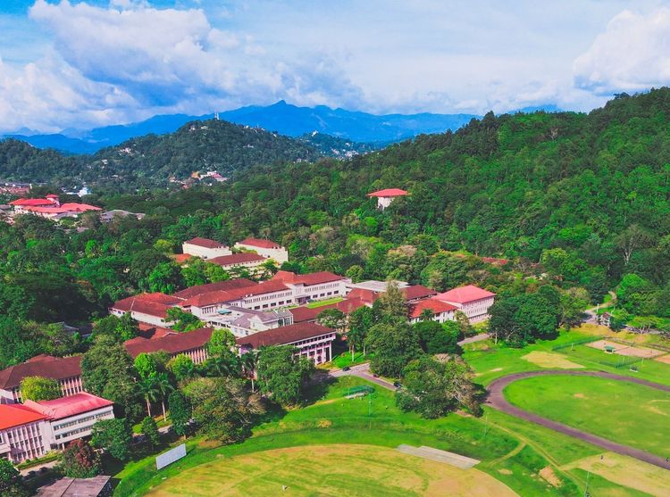 Peradeniya Area Guide: Discover Insights & Price Trends | PropertyGuide