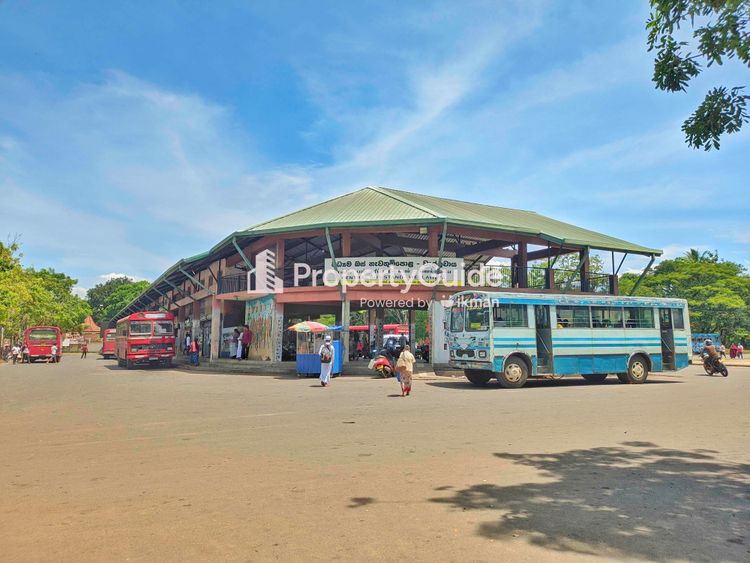 Wellawaya Area Guide: Discover Insights & Price Trends | PropertyGuide