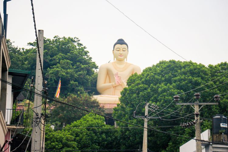 Digana Area Guide: Discover Insights & Price Trends | PropertyGuide