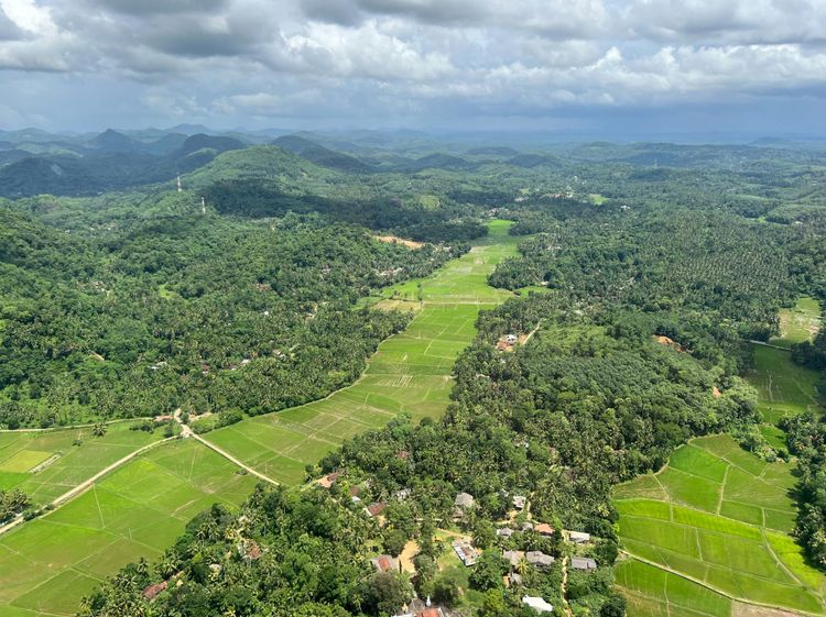 Gampaha Area Guide: Discover Insights & Price Trends | PropertyGuide