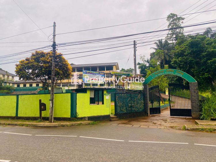 Kalawana Area Guide: Discover Insights & Price Trends | PropertyGuide