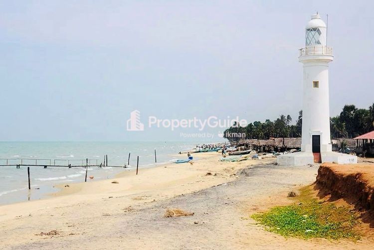 Mannar City Area Guide: Discover Insights & Price Trends | PropertyGuide