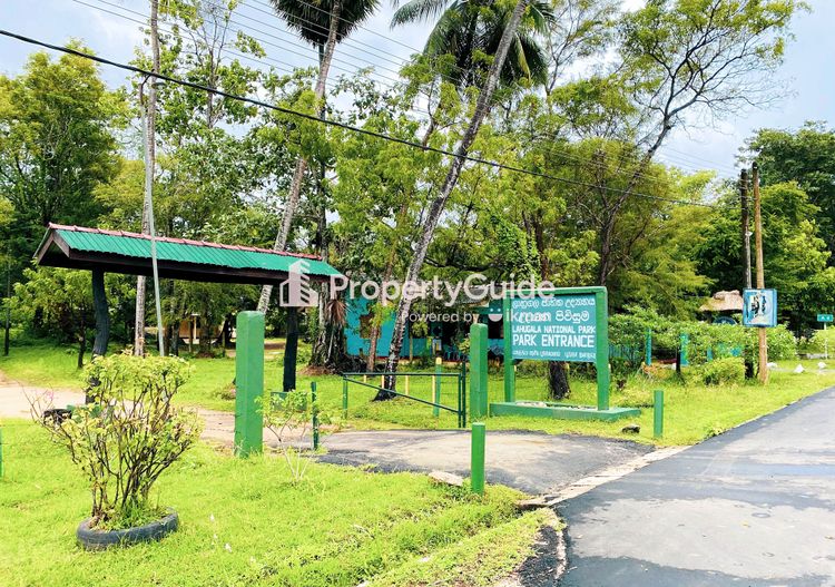Lahugala Area Guide: Discover Insights & Price Trends | PropertyGuide