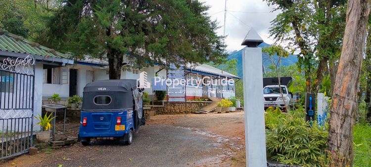 Haldummulla Area Guide: Discover Insights & Price Trends | PropertyGuide