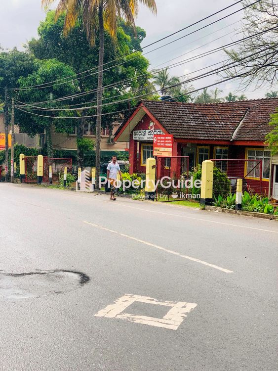 Hanguranketha Area Guide: Discover Insights & Price Trends | PropertyGuide