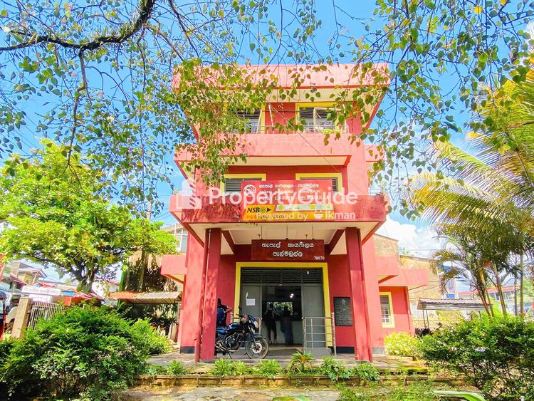 Pelmadulla Area Guide: Discover Insights & Price Trends | PropertyGuide