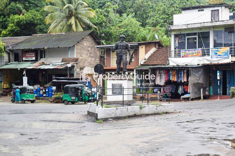 Rattota Area Guide: Discover Insights & Price Trends | PropertyGuide