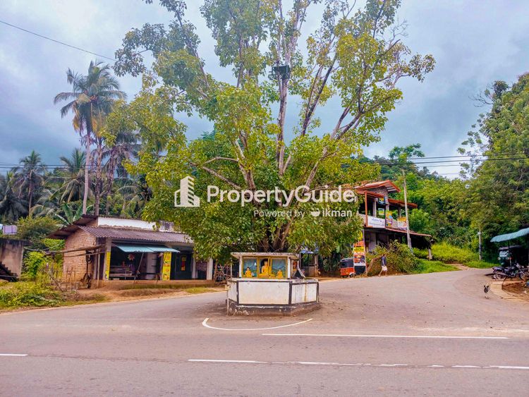 Rideemaliyadda Area Guide: Discover Insights & Price Trends | PropertyGuide