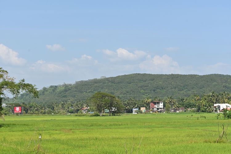 Horana Area Guide: Discover Insights & Price Trends | PropertyGuide